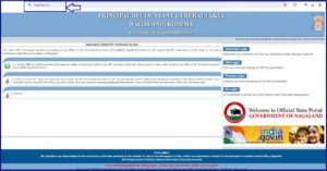 Nagaland Salary Slip, GPF Statement, Pay Slip 2025 Download